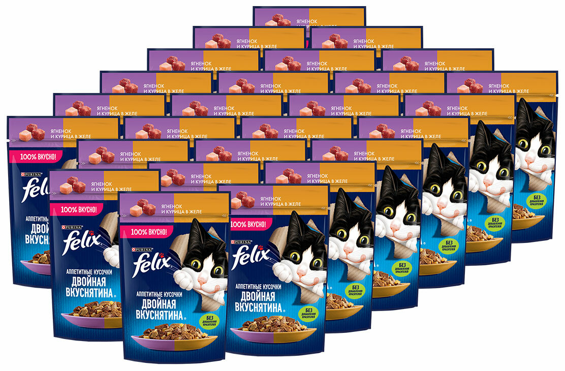 Корм влажный Felix Двойная Вкуснятина для кошек, ягненок и курица в желе, 75 г х 26 шт