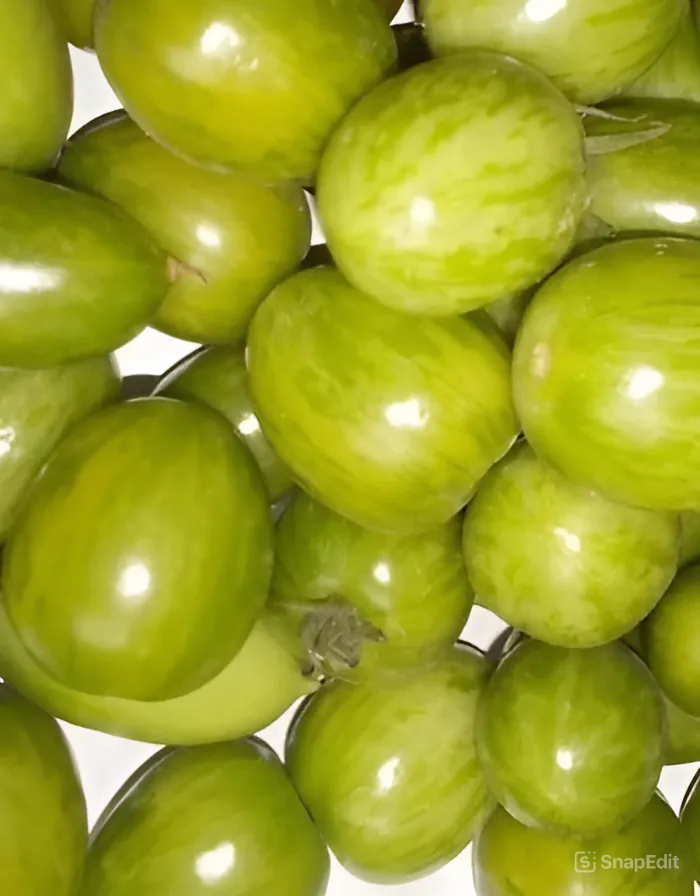 Семена томата "Перепелиное гнездо", однолетние, сладкий сорт, 10-15 семян