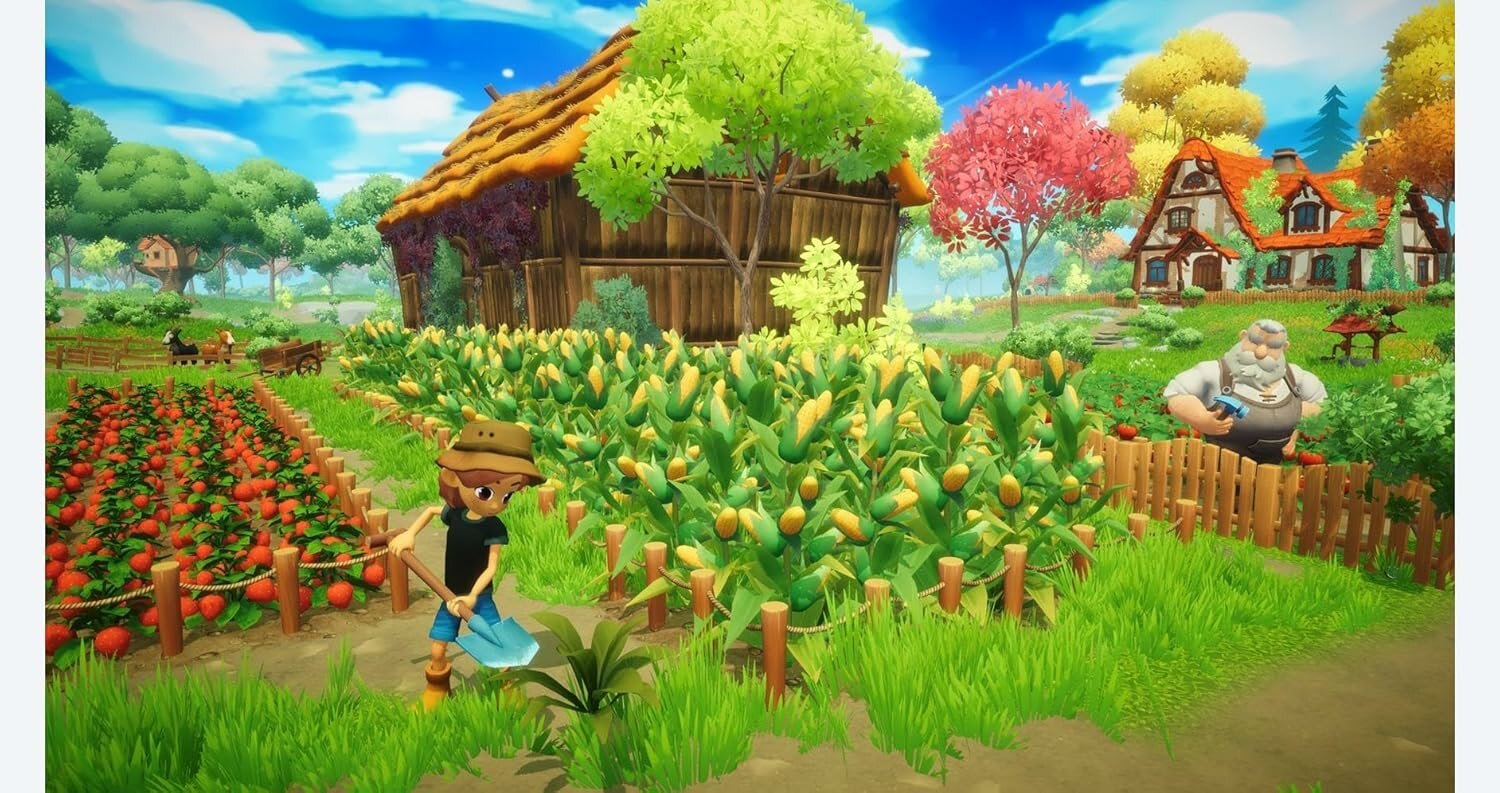Everdream Valley Nintendo Switch — фото 1