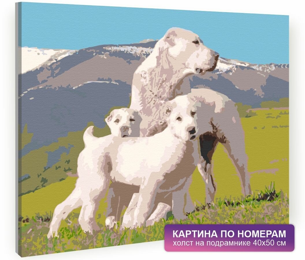 Картина по номерам на холсте с подрамником 40х50 см. Природа, животные, рыбы, птицы. Собаки, щенки. "Алабай", арт. 5554/