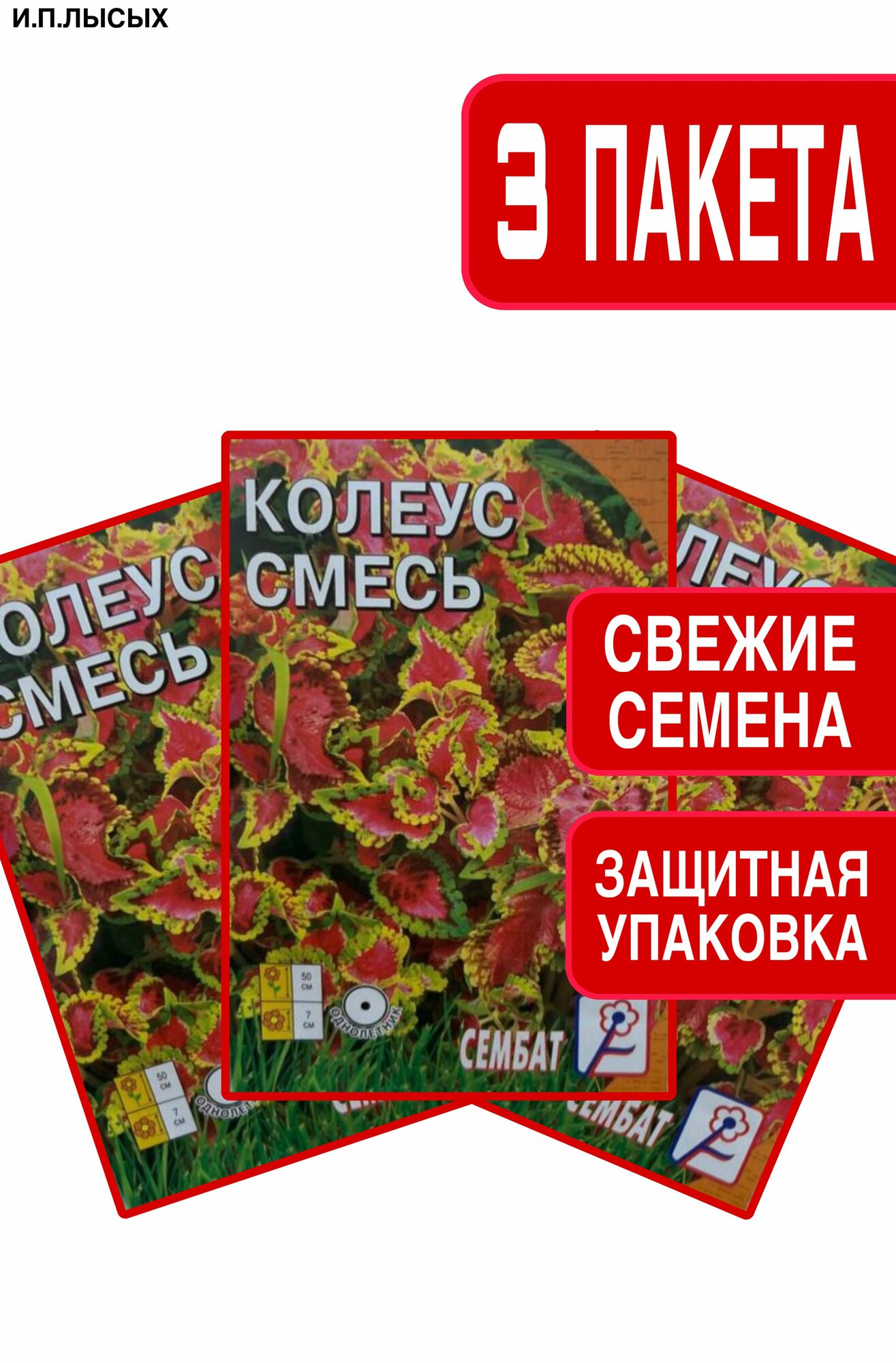 Семена Колеус смесь