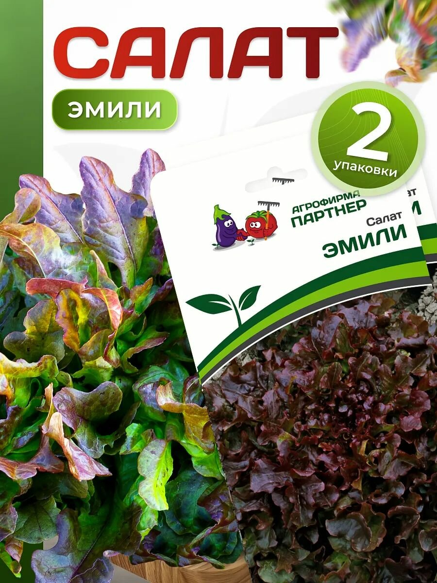 Семена салата Эмили