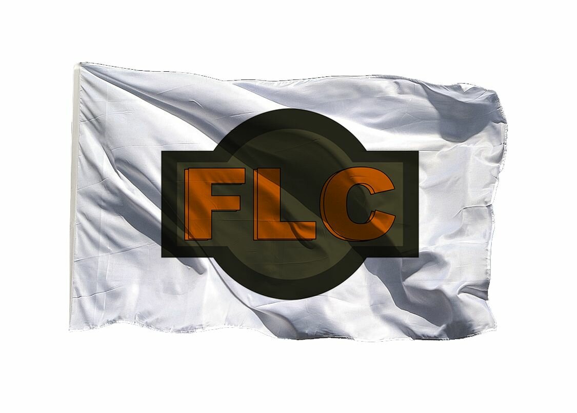 Флаг Компании Дружественный Заём Fallout 1 Фоллаут 70х105 см на шёлке для ручного древка