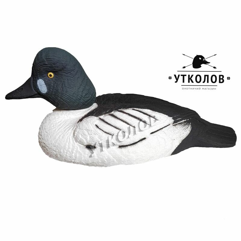Чучело разборное утки "Гоголь рельеф" (полистирол). Съемная голова.
