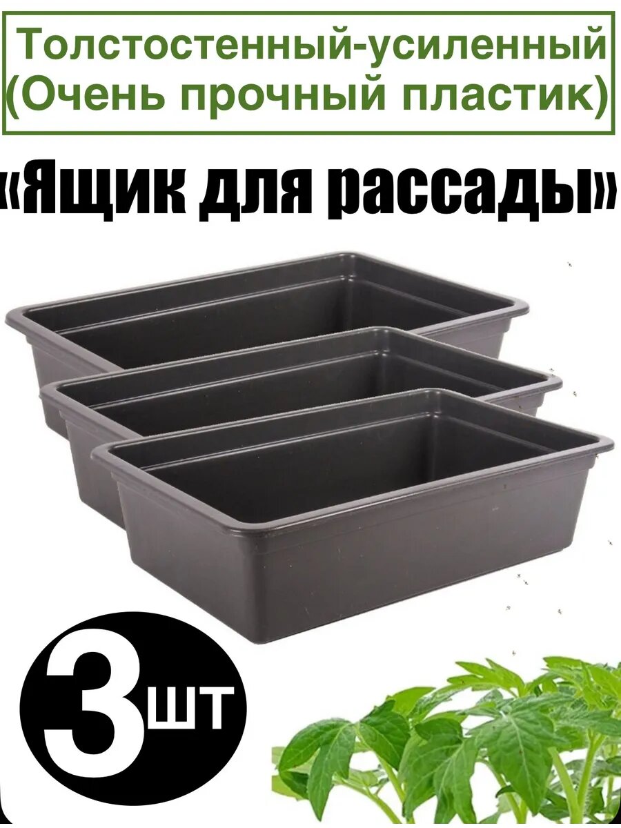 Ящик для рассады