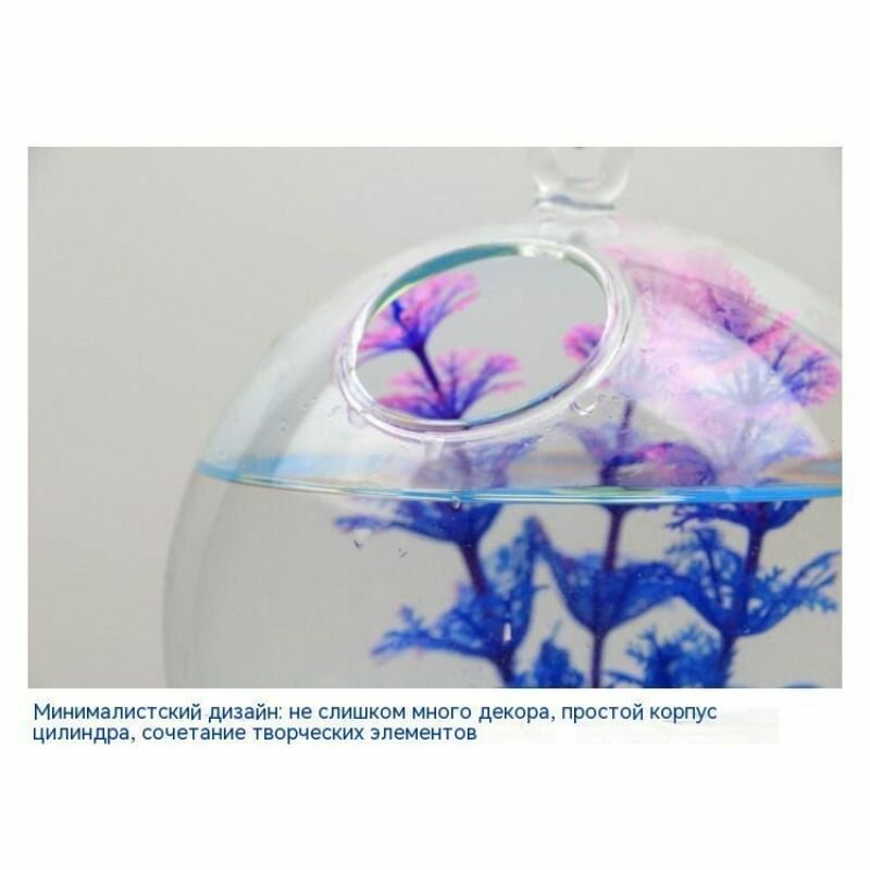 Небольшой экологический настольный круглый аквариум, прозрачный, S-образная железная рама