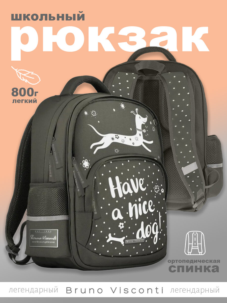 Рюкзак Bruno Visconti темно-серый с эргономичной спинкой "счастливая собака" Арт. 12-002-138/06