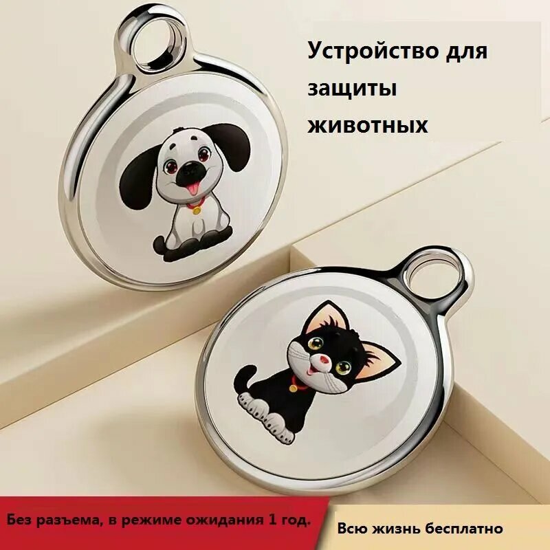 KNOW EASY-Кошачий ошейник, домашний локатор, кот, собака, спортивный тест, универсальное интеллектуальное одевание, поиск домашних животных.