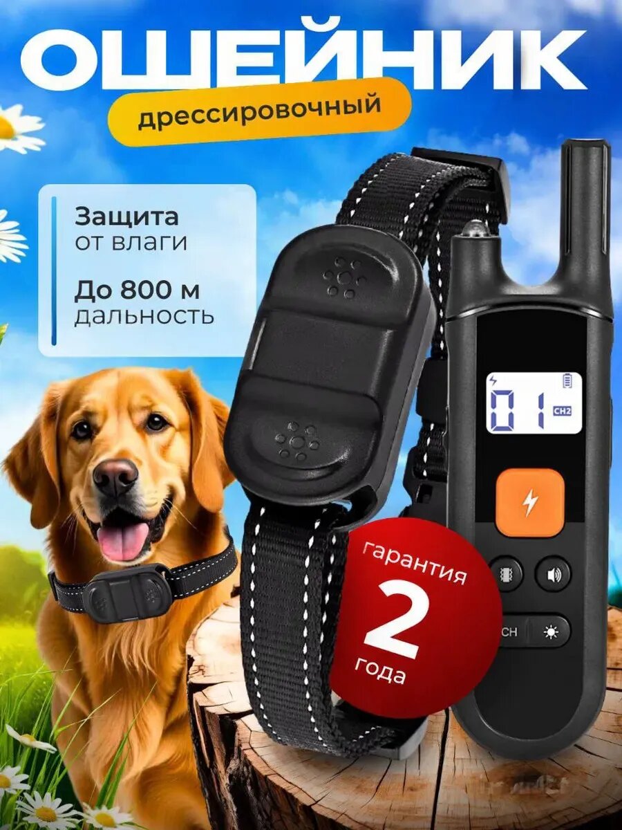 Ошейник для собак электронный