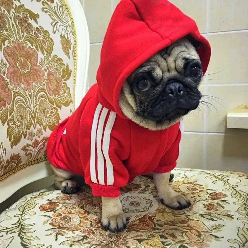 XS-5XL, Одежда для домашних животных Adidog, Осенние и зимние толстовки для собак, Куртка-пальто для собак от мала до велика