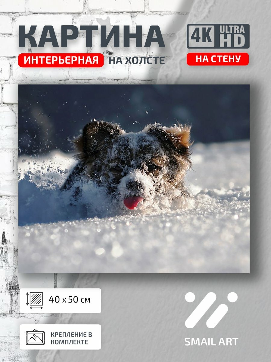 Картина на холсте интерьерная 40 на 50 на стену Снежок Landscape для спальни пейзаж декор