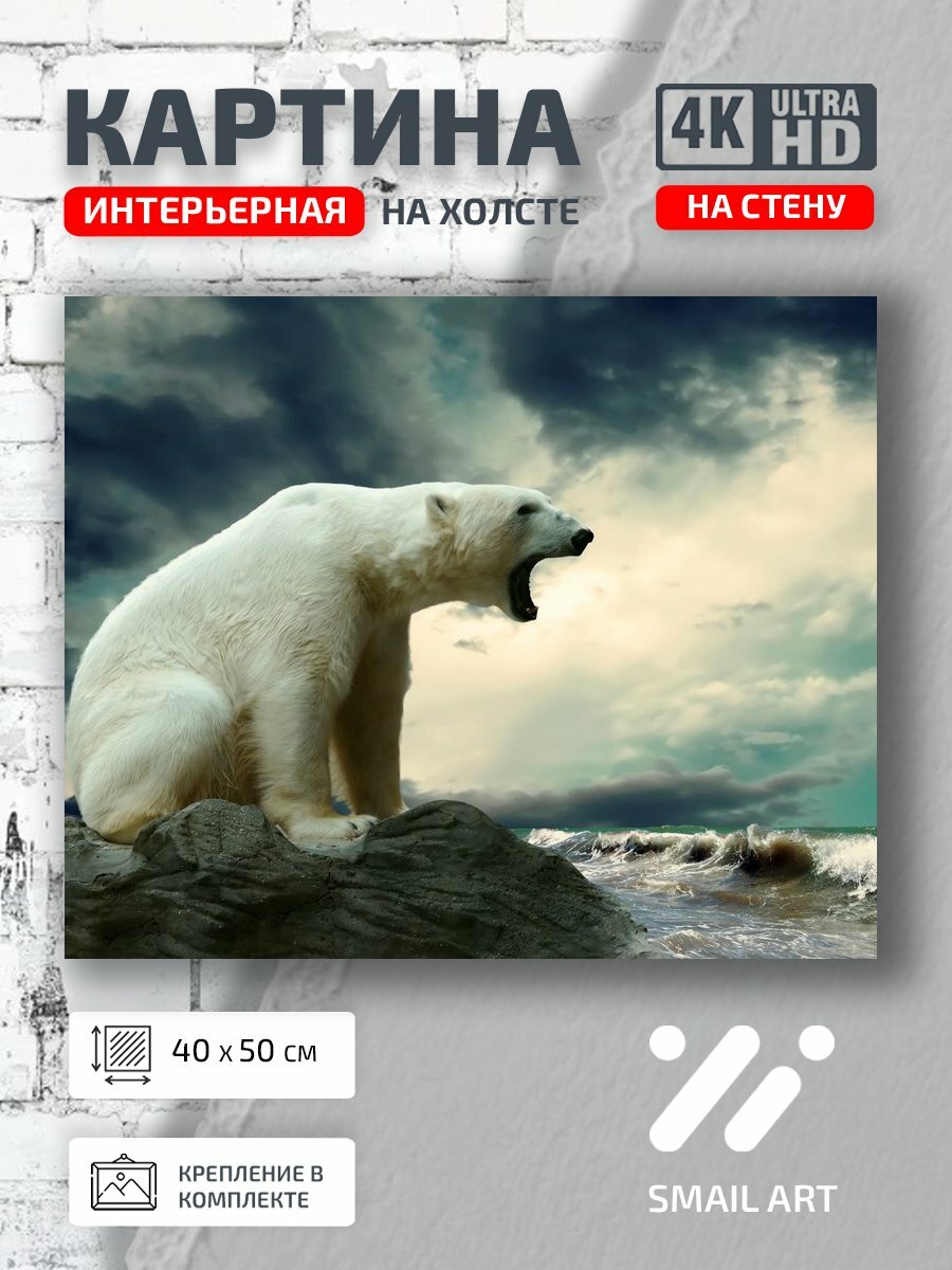 Картина на холсте интерьерная 40 на 50 на стену Медведя Animal для спальни animal style