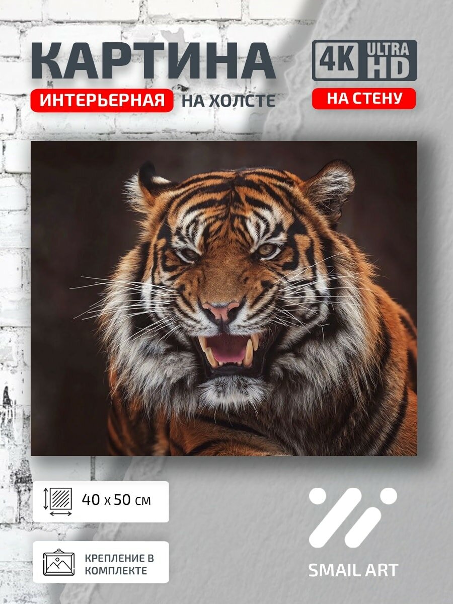 Картина на холсте интерьерная 40 на 50 на стену Животные Тигр для студии атмосфера