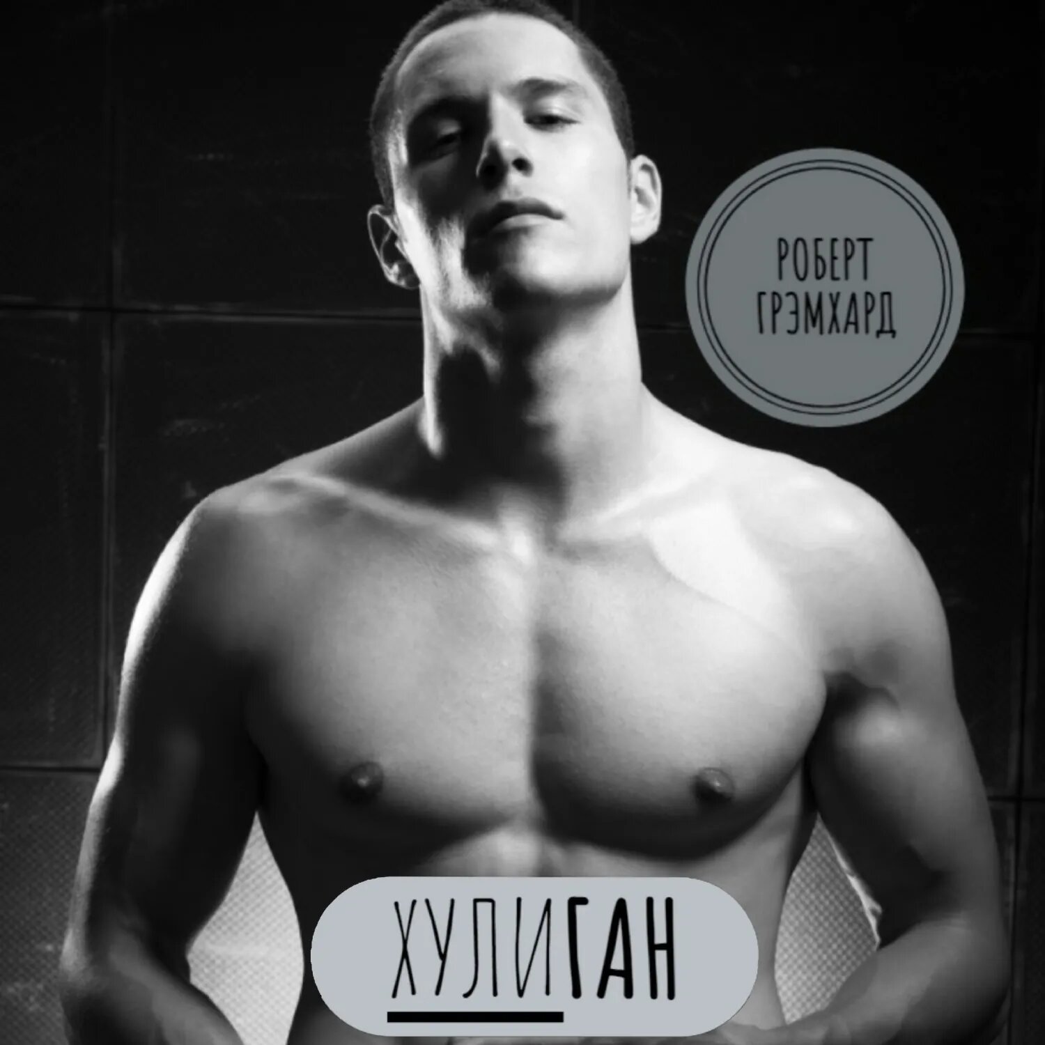 Хулиган [Аудиокнига]