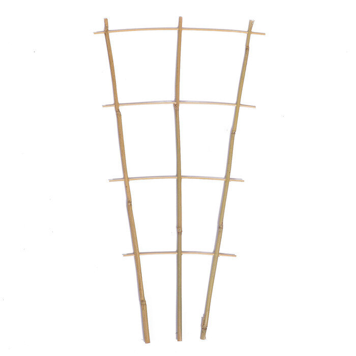 Шпалера, 60 x 32 x 1 см, бамбук, Двойная , Greengo