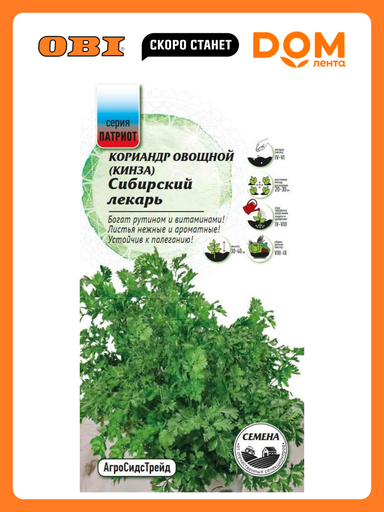 Семена Кориандр (кинза) Сибирский лекарь Патриот