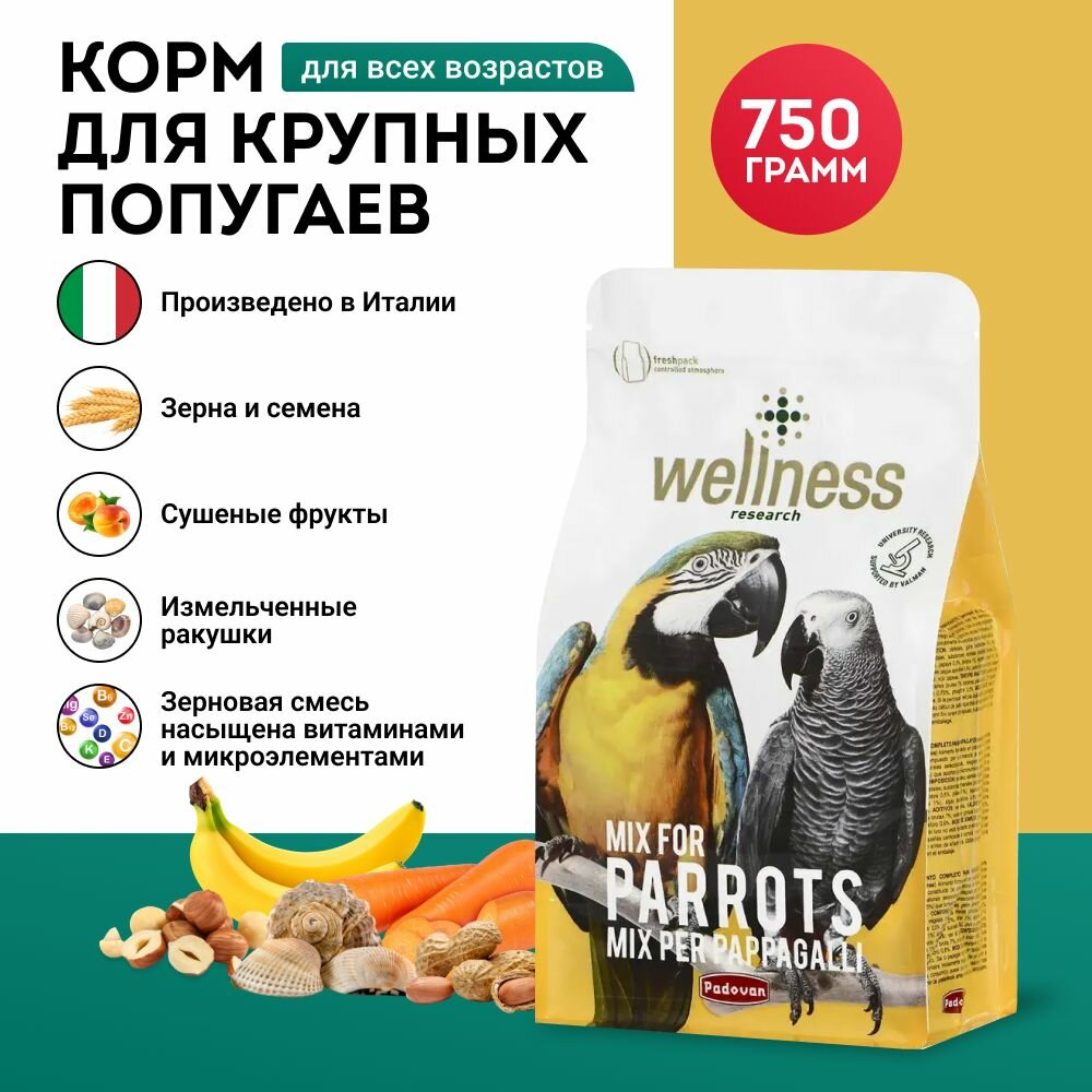 Padovan Корм WELLNESS MIX для крупных попугаев 750г