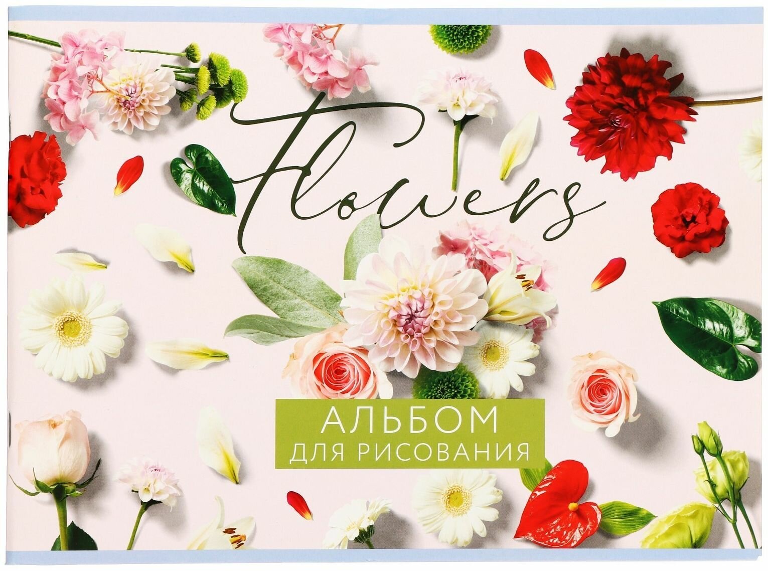 Альбом детский для рисования "Цветы" на скрепке, формат А4, 24 листа, обложка мелованный картон, плотность блока 100 г/м 2