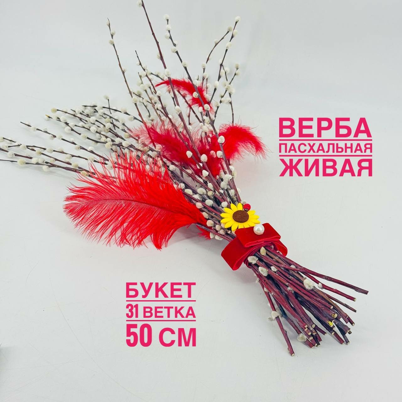 Пасхальный букет из вербы. Верба живая красноталка