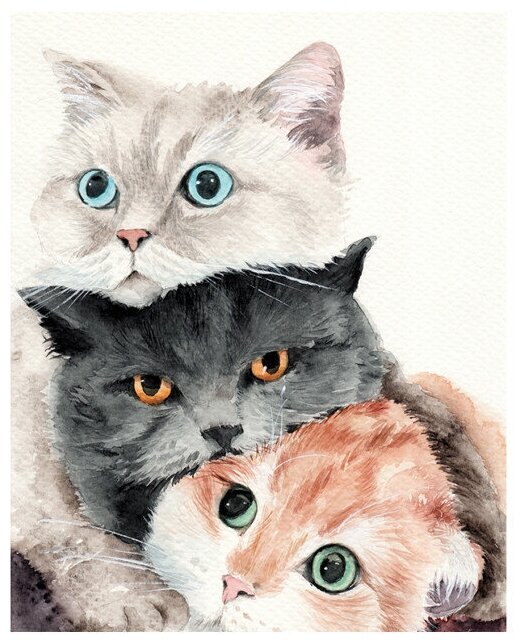 Постер котята канвас 400х500мм
