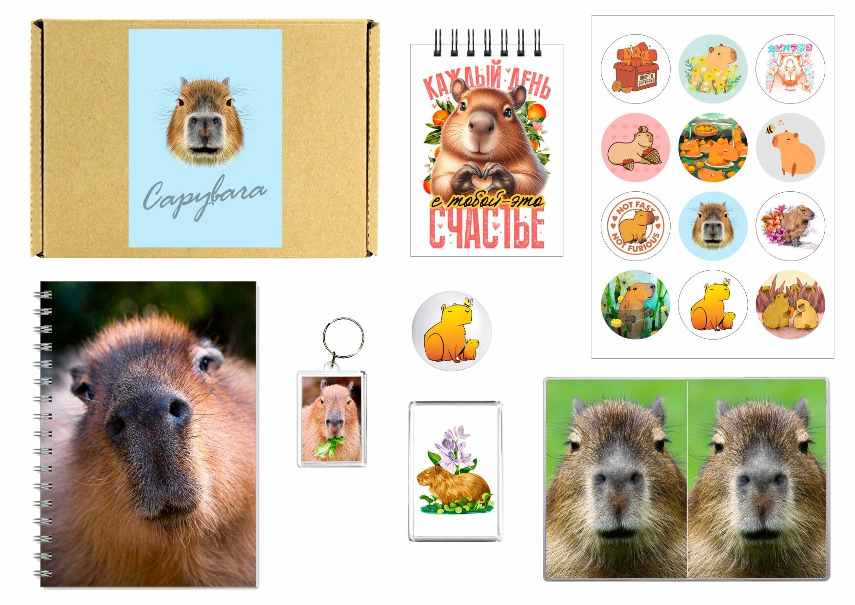 Бокс MIGOM "Capybara v2, Капибара" - v0002