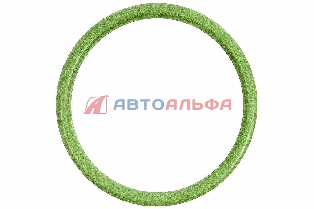 Кольцо (ЖМТ соединение с блоком) (ФСИ 65)