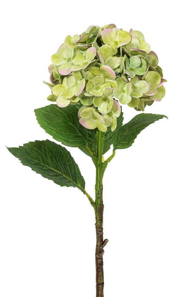 Fiebiger Floristik 206106-804 Ветка декоративная "Гортензия", 46 см