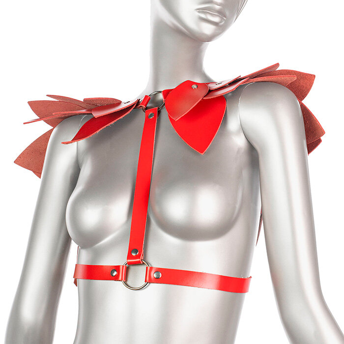 Комплект с крылышками Роби Passion Belts Комплект с крылышками Роби