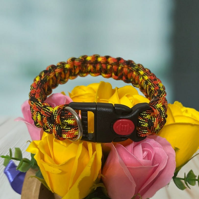 Ошейник "Кобра", паракорд, оранжевый, для мелких пород собак