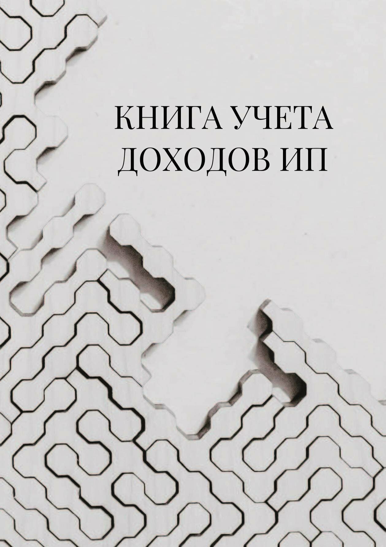 Книга учета доходов для ИП на патенте