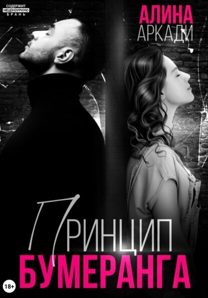 Принцип бумеранга [Цифровая книга]