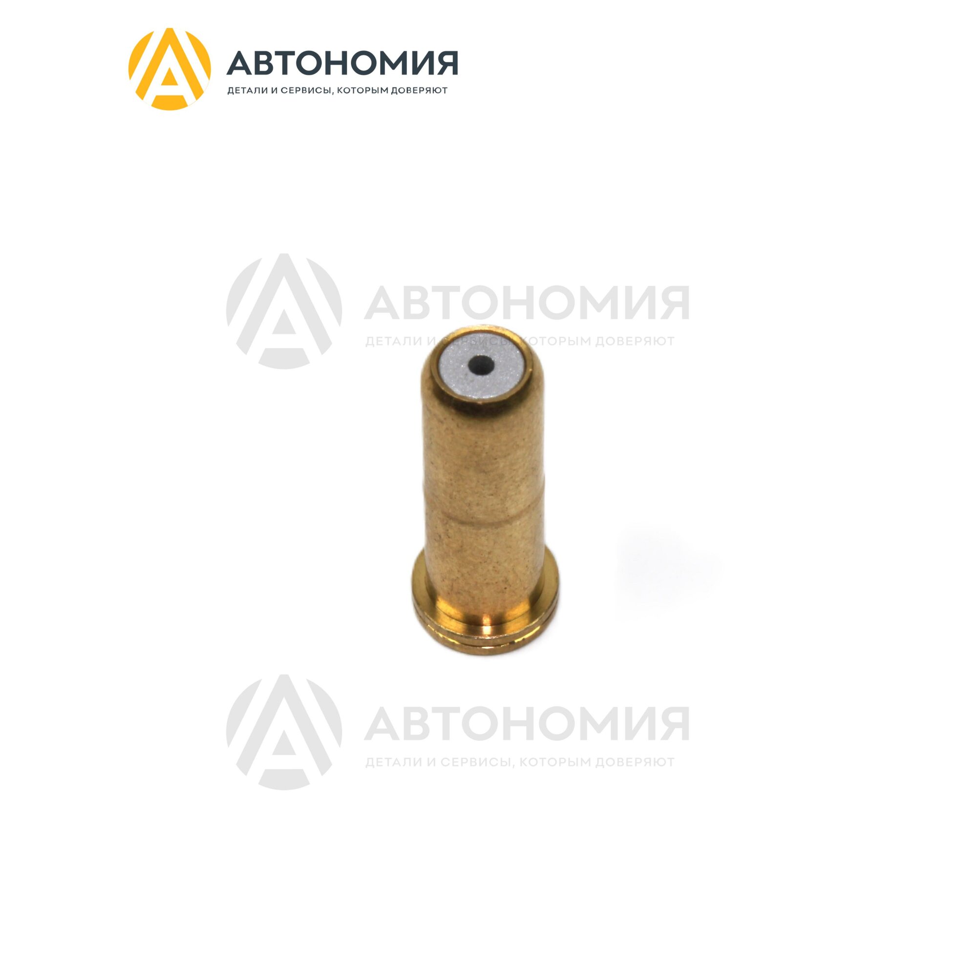 Масляная форсунка BMW 11 42 1 730 619