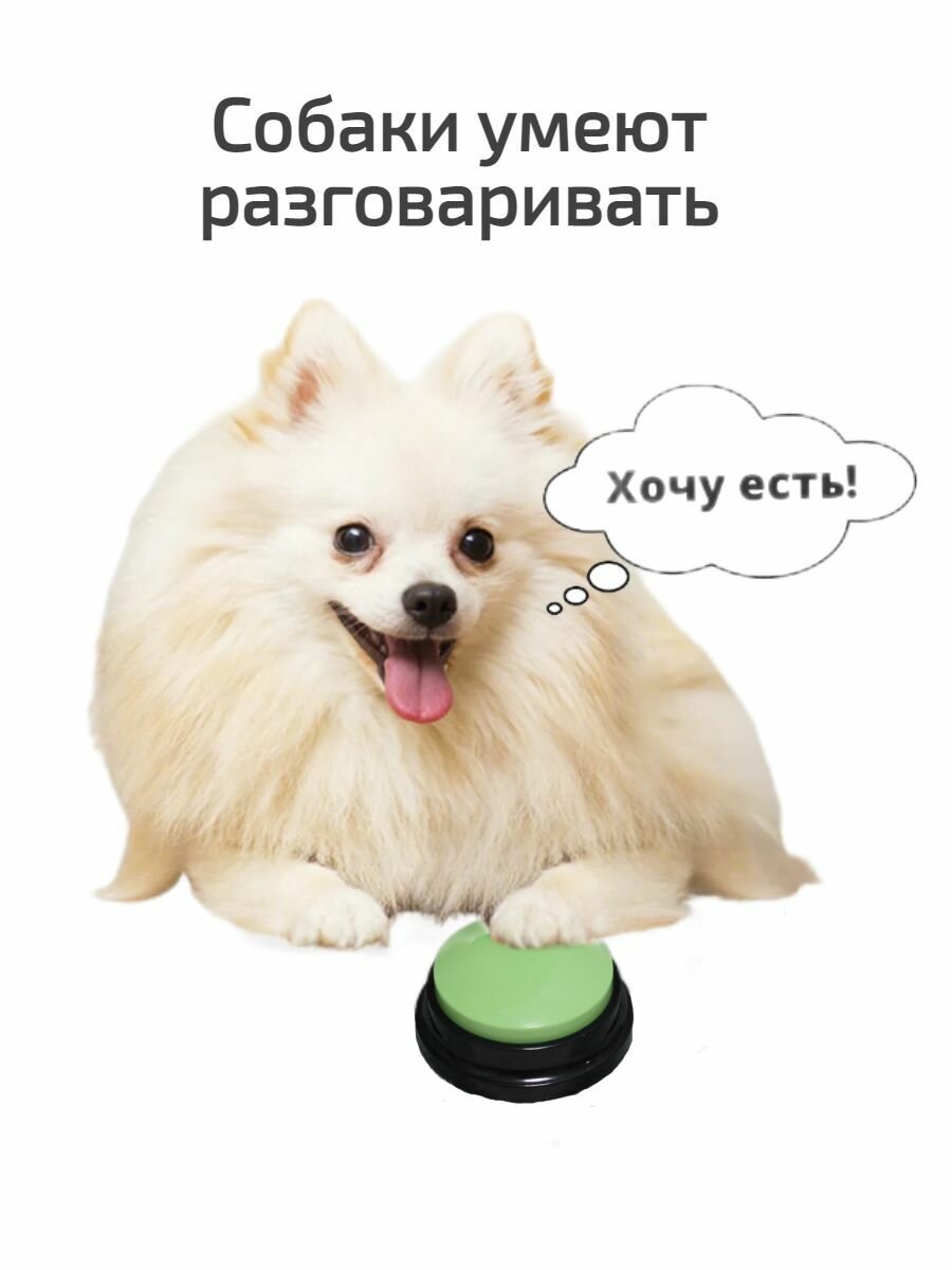 Кнопка для собак жрать хочу, кушать хочу, для дрессировки животных, с записью голоса, звуковая кнопка, кликер для собак , зеленаяВысокое качество.