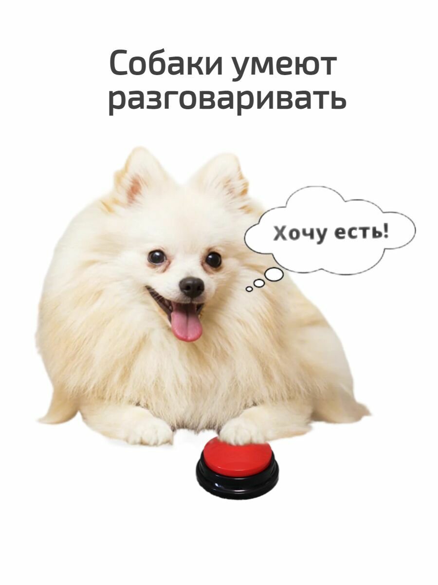 Кнопка для собак жрать хочу, кушать хочу, для дрессировки животных с записью голоса, звуковая кнопка, кликер для собак , красная--