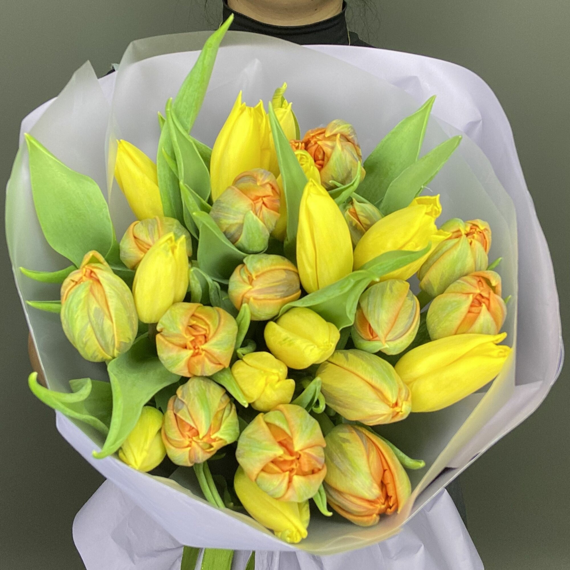 Желтые тюльпаны