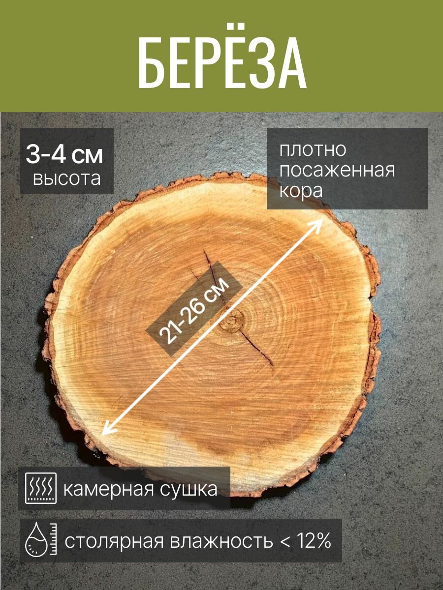Спил дерева, Берёза d 21-26 см, срезы, для декора и творчества, деревянные заготовки