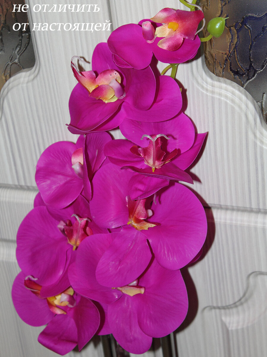 Искусственные растения Орхидея от бренда Holodilova