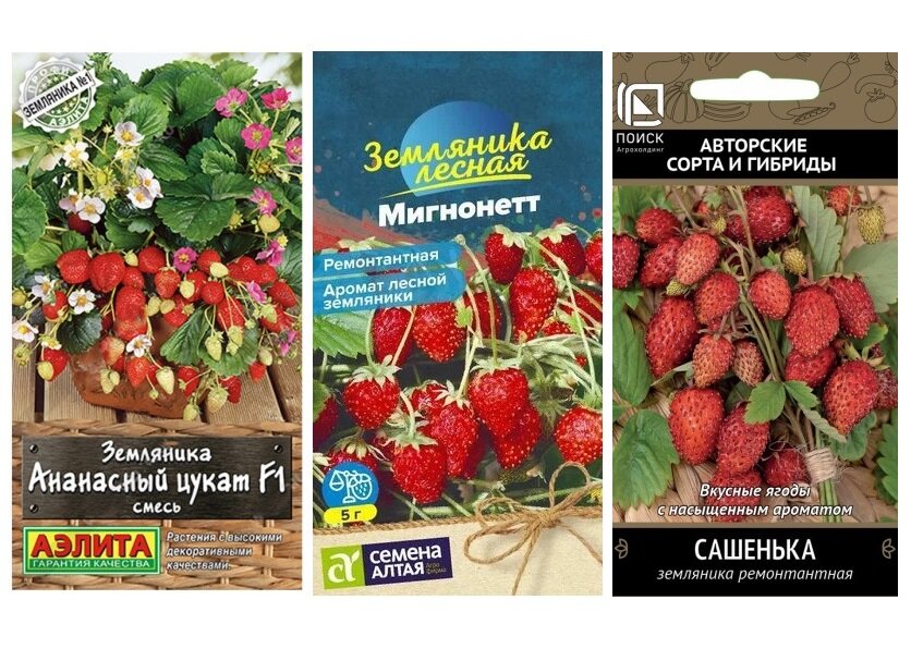 Набор семян Земляничная поляна (Земляника Ананасный цукат, Мигнонетт, Сашенька)