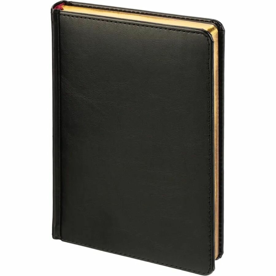 Ежедневник датированный 2026 А5+ SIDNEY NEBRASKA черный, зол обрез