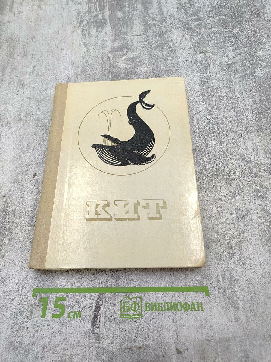 Кит