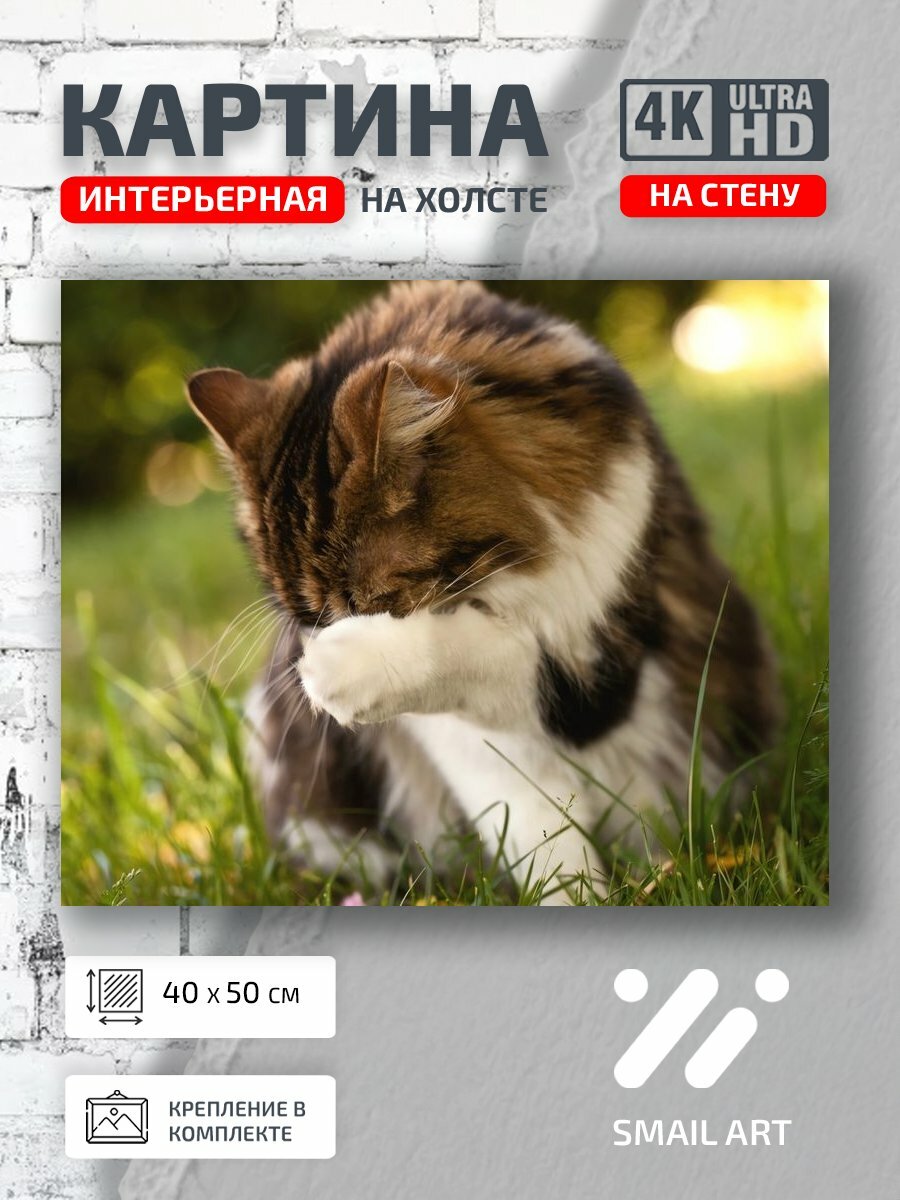Картина на холсте интерьерная 40 на 50 на стену Кот cat для кабинета пейзаж интерьер декор