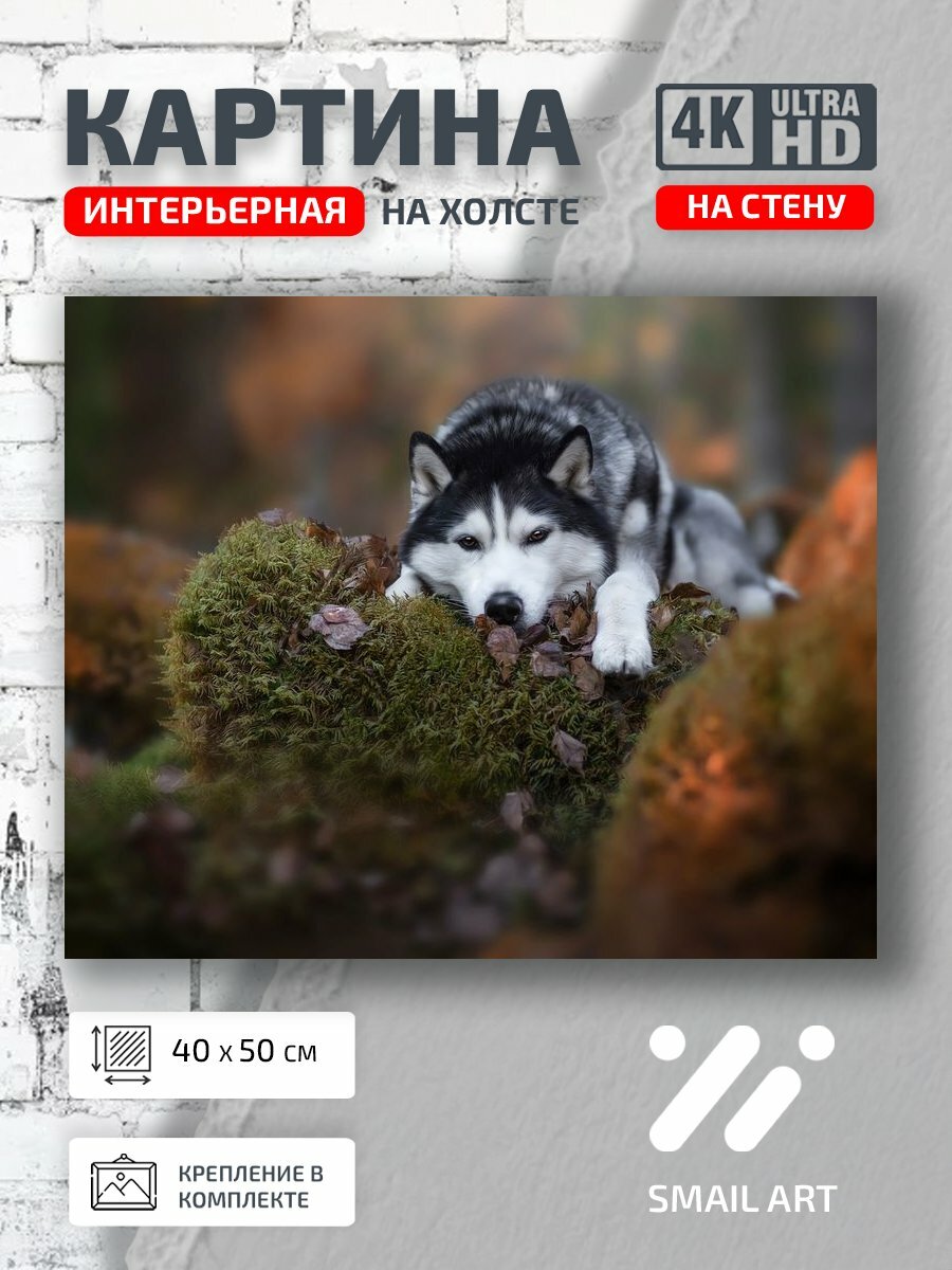 Картина на холсте интерьерная 40 на 50 на стену Мох Mood для студии атмосфера интерьер