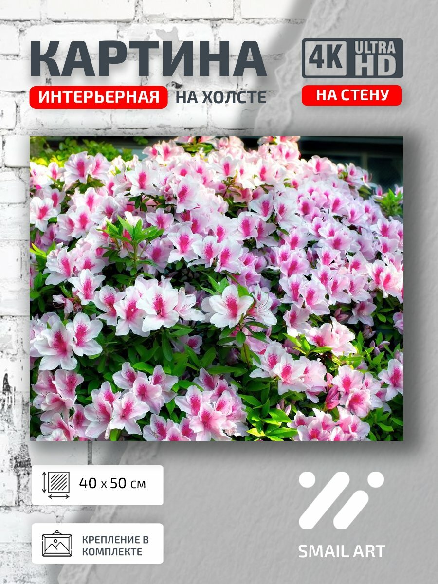 Картина на холсте интерьерная 40 на 50 на стену Куст Landscape для гостиной пейзаж интерьер