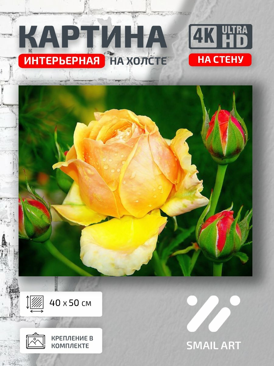 Картина на холсте интерьерная 40 на 50 на стену Трава Mood для студии атмосфера интерьер