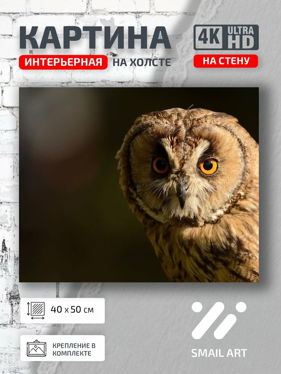 Картина на холсте интерьерная 40 на 50 на стену Взгляд Animal для гостиной animal style