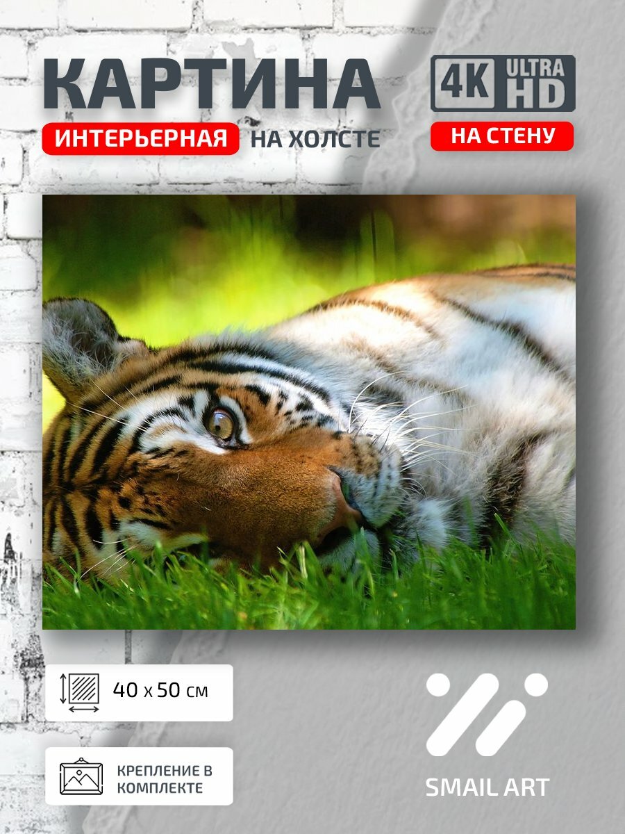 Картина на холсте интерьерная 40 на 50 на стену Тигр Landscape для кабинета пейзаж интерьер