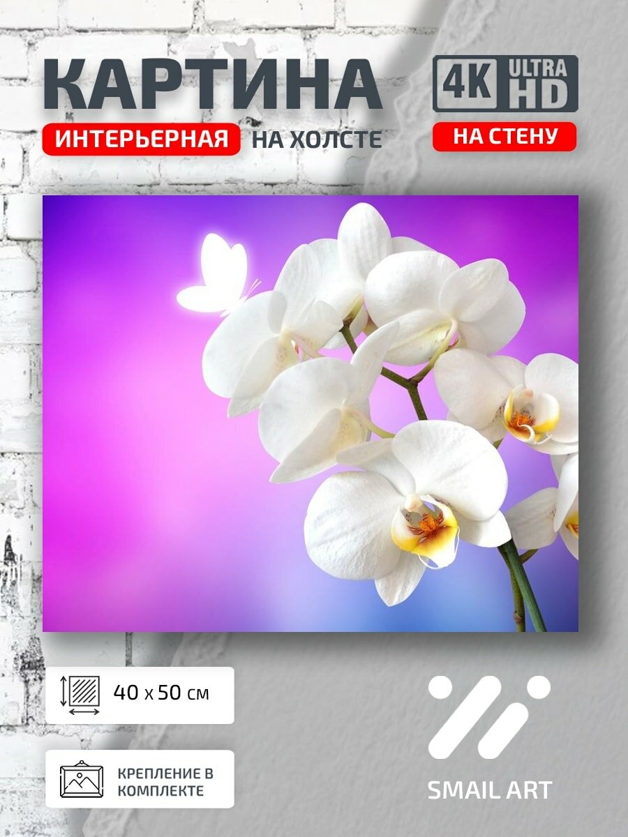 Картина на холсте интерьерная 40 на 50 на стену Белые орхидеи для гостиной атмосфера