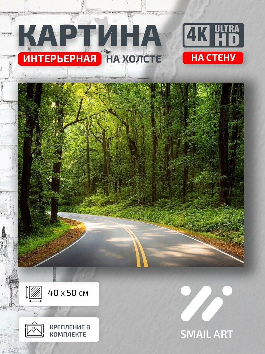 Картина на холсте интерьерная 40 на 50 на стену Пейзаж Вирджиния для гостиной атмосфера
