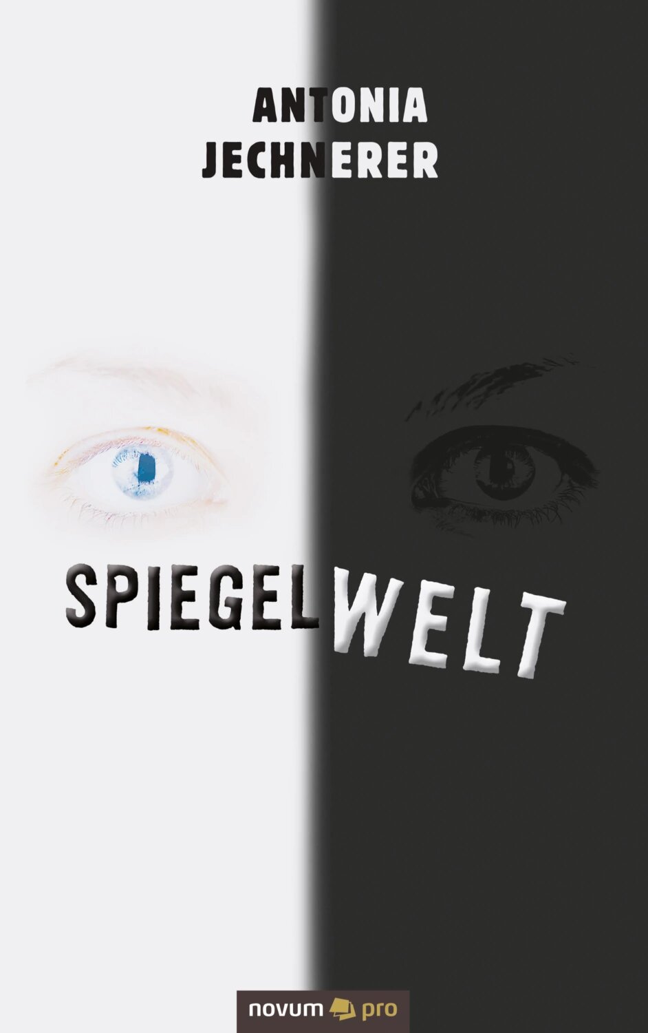 Spiegelwelt [Цифровая книга]