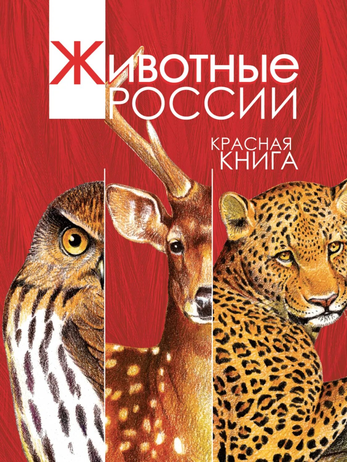 Животные России. Красная книга [Цифровая книга]